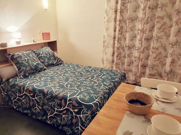 Studio Lumineux Et Agréable En Centre Ville. - Dole