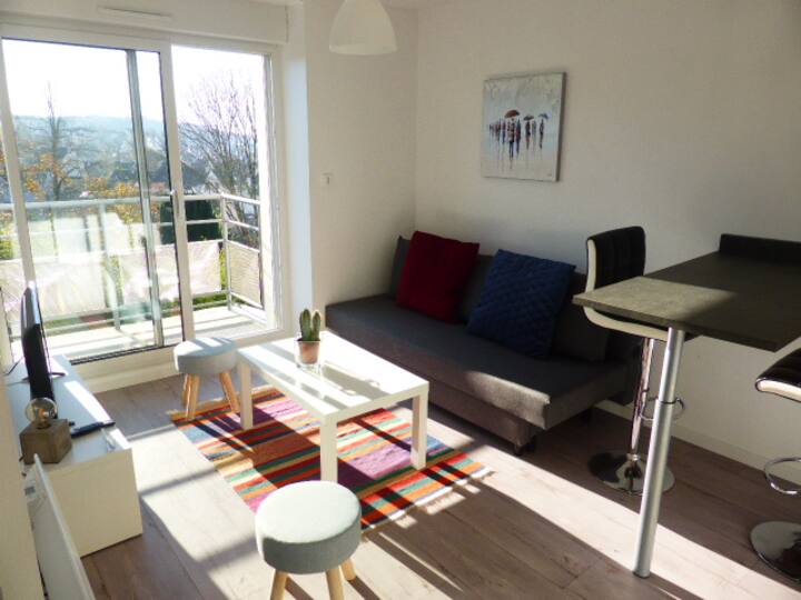 T2 Avec Balcon, Centre Et Parc Expo à Pied,parking - Quimper