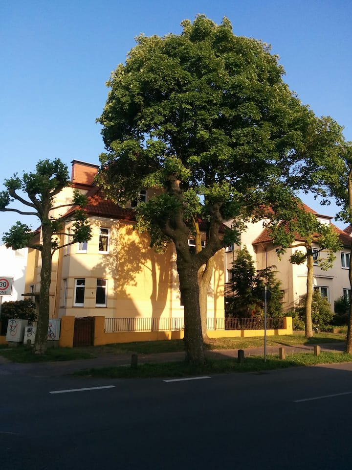 Schöne, Sanierte Dg-wohnung (2zkbb) Im Altbau - Bielefeld