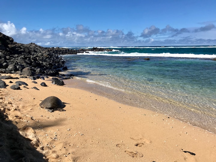 10 Best Long-Term Rentals In Maui, Hawaii - Updated 2025 | Trip101