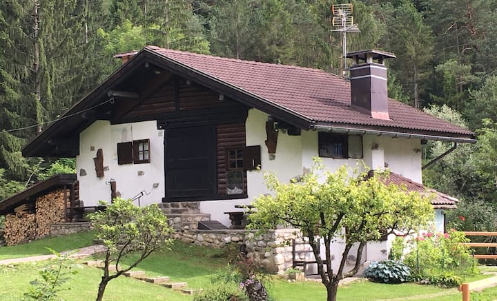 A Chalet In The Mountains - 5 Minutes From Town - Fiera di Primiero