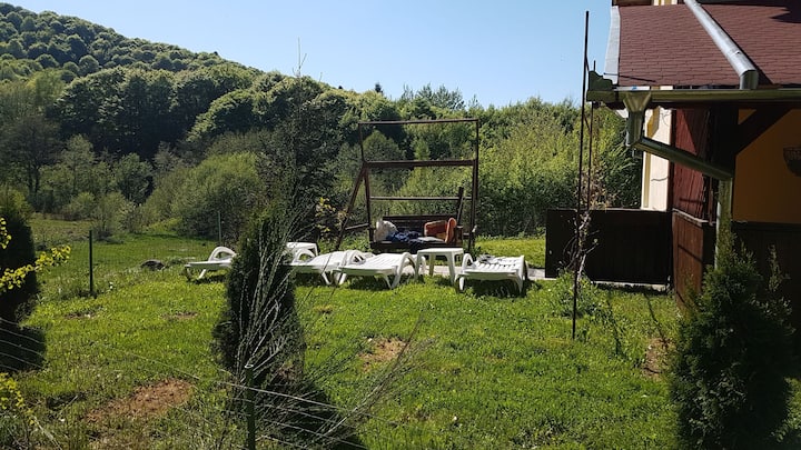 Casa Alina - Cârțișoara