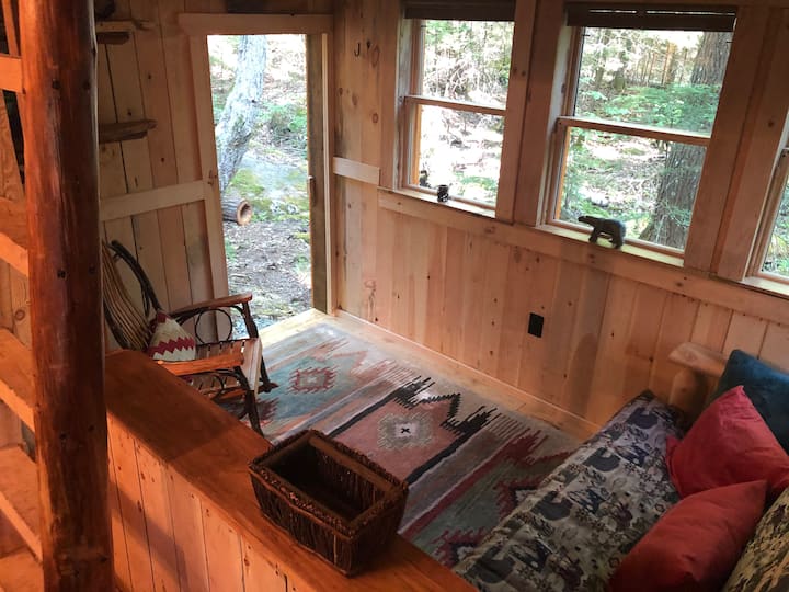 Unique Rustic Adirondack Cabin - Adirondack Mountains