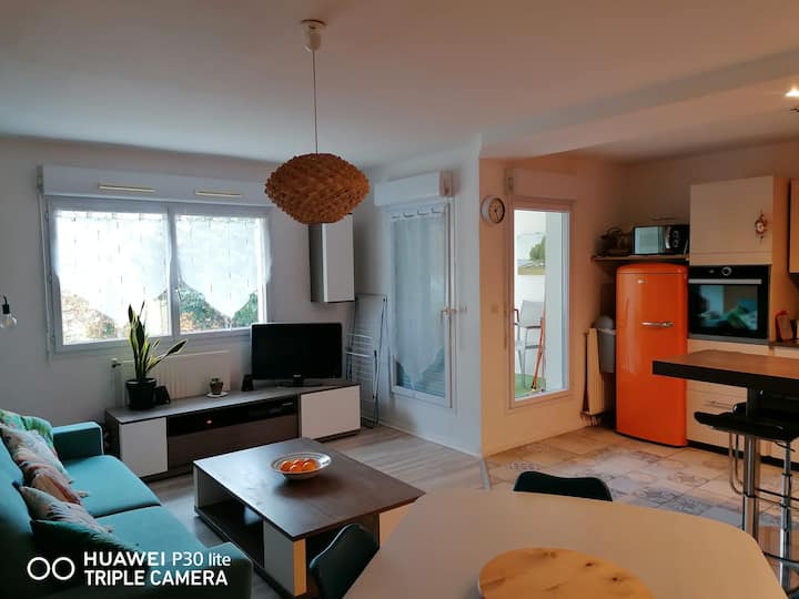 Appart. Très Convivial, Près De L'hôtel De Région. - Nantes