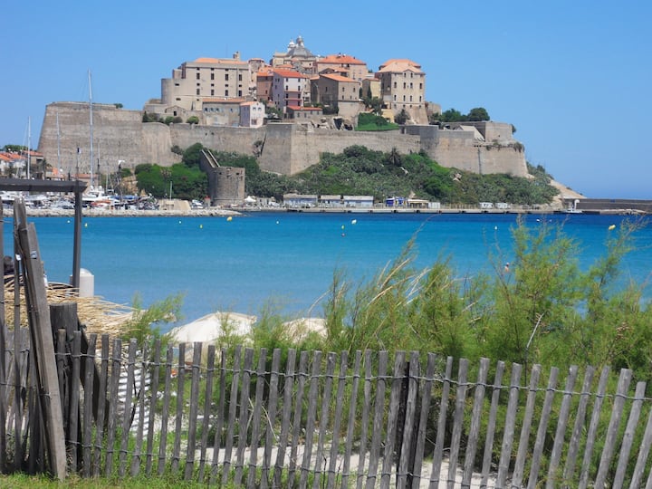 Les Pieds Dans L'eau à Calvi - Calvi