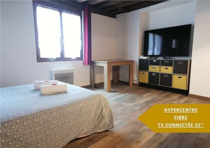 Studio De L'empereur, 27m² Cosy*chaleureux*rénové - Le Zenith d'Orléans
