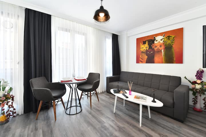 Modern Comfortable Apt At Galata In City Center 1 - İstanbul