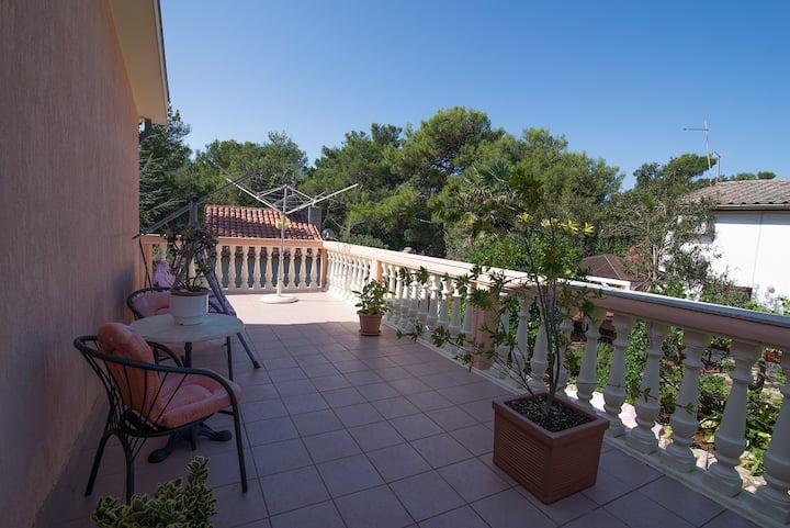 Franka J4 - Mali Lošinj