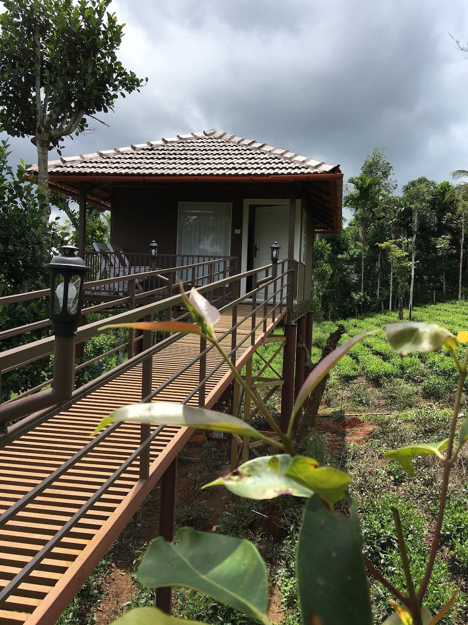 India Treehouse Holiday Rentals | Airbnb