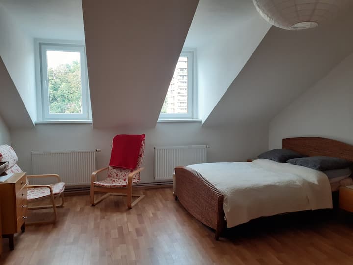 Top-floor 2+1 Flat, In The Very Center - Karlovy Vary