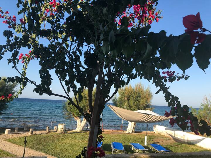 Seafront Superior Apartment - Zakynthos
