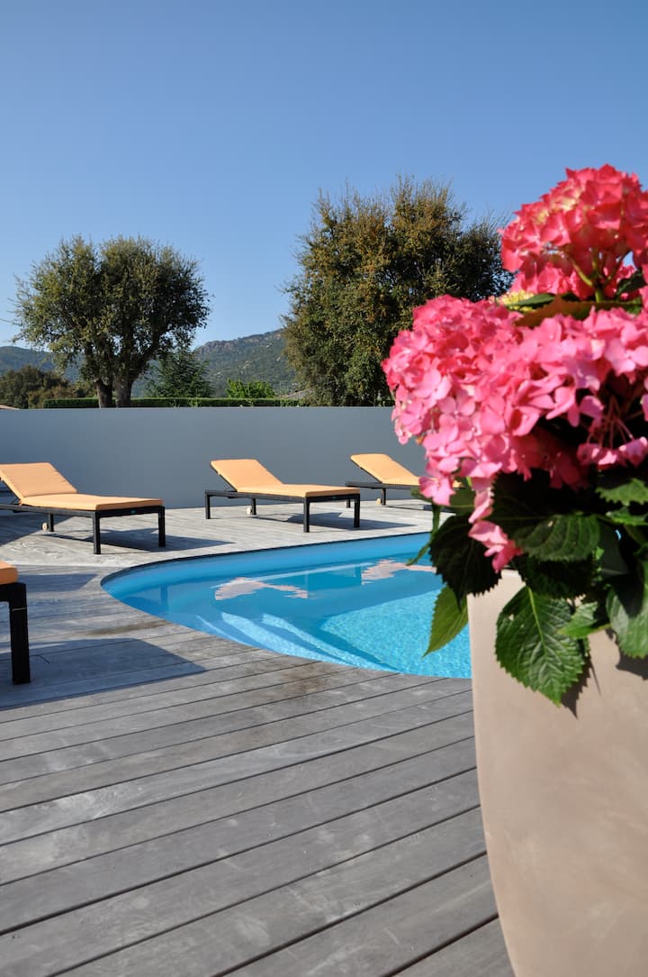 Villa Jean Antoine  4 Chambres Piscine Privée - Corsica