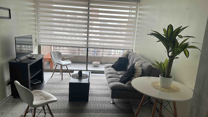 Stamaría Forestal Para 6 - Santiago (Chile)