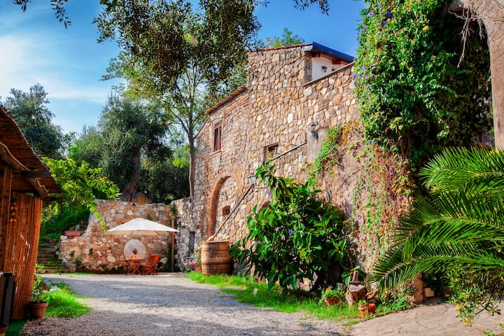 Gaiano Apt 7 - Family Suite - Capri