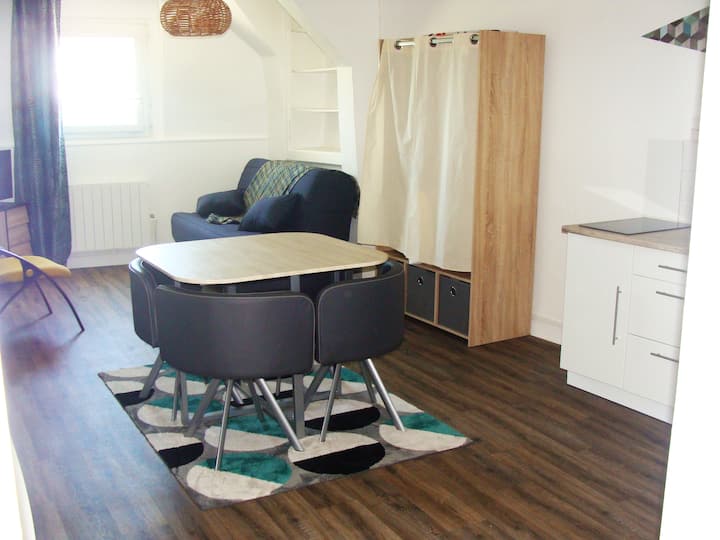 Studio "La Vue" - Chu - Angers