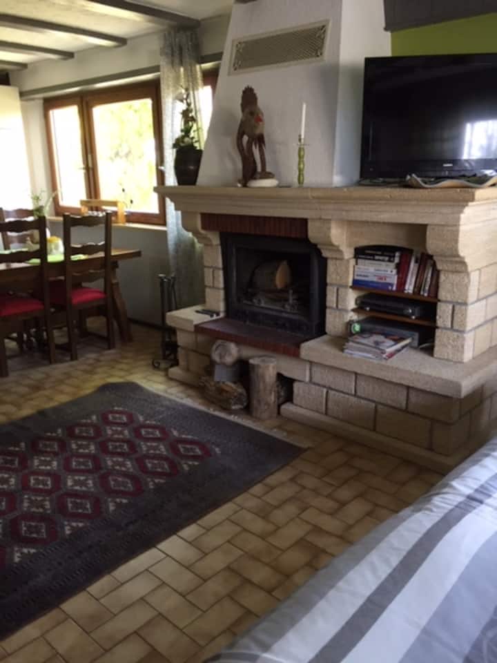 Beau Studio De 45 M² à Schirrhein - Bischwiller