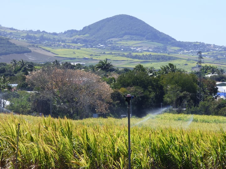 Fleur'paradis - F3 - La Réunion