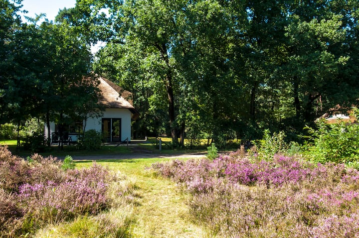 Beekje - Rolstoelvriendelijk En Comfortabel 8p - Arnhem