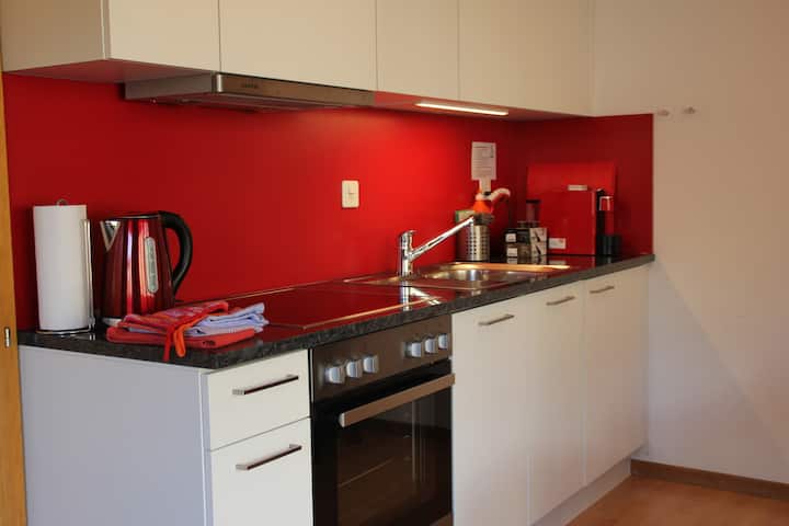 3-room Vacation Flat On Skislope - Grindelwald