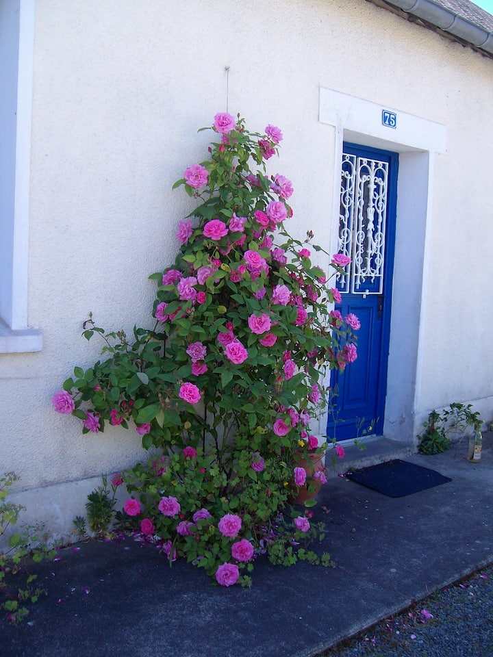 Petite Maison De Pécheur - Jersey