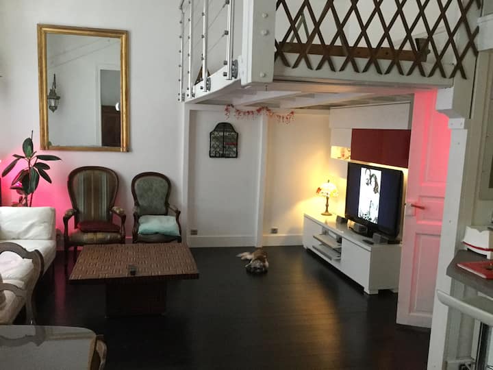 Appt Loft 4p Val De Grâce / Cochin - Champs-Élysées - Paris