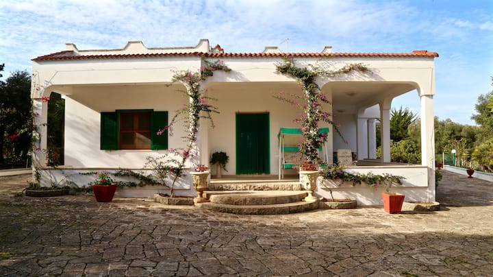 Bellissima Villa Con Pineta Vicino Ad Ostuni - Carovigno