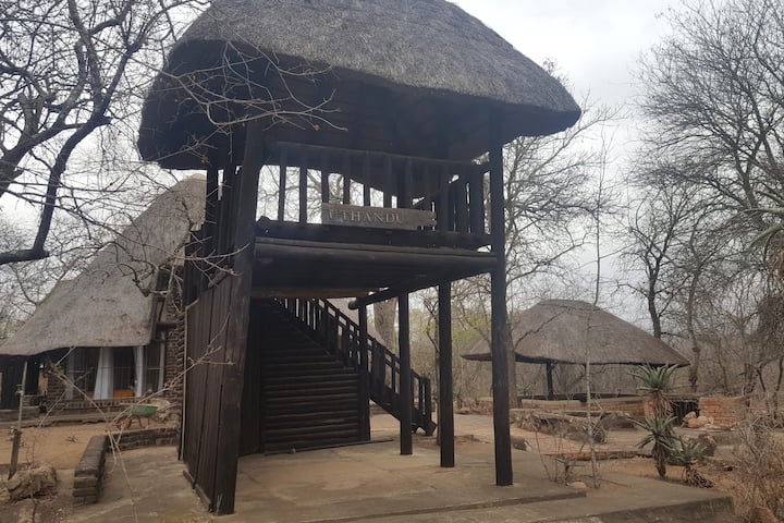 Uthandu - Marloth Park