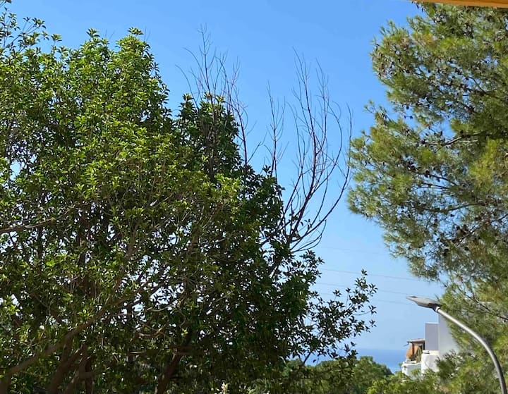 Apartamento Sol Y Mar - Marbella