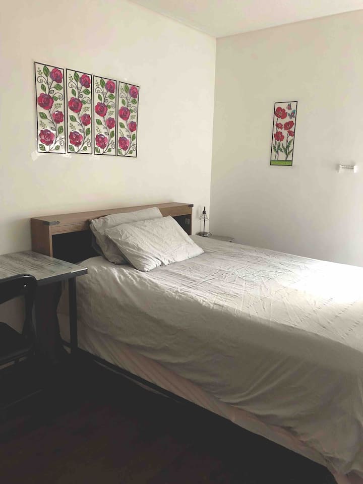 York University @Humber@spacious Room@ 2 Subways - Toronto