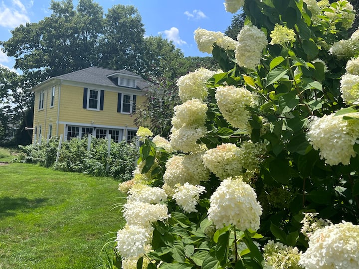 Quiet,
Peaceful Setting (Suite 2) - Frederick, MD