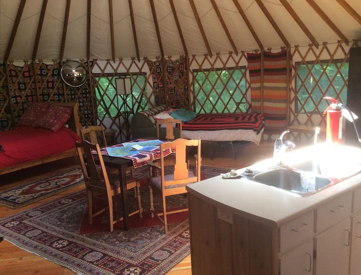 Top 20 Yurts In British Columbia, Canada - Updated 2024 | Trip101