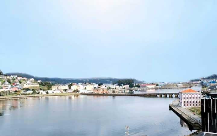 Viveiro Bahía - Vivero