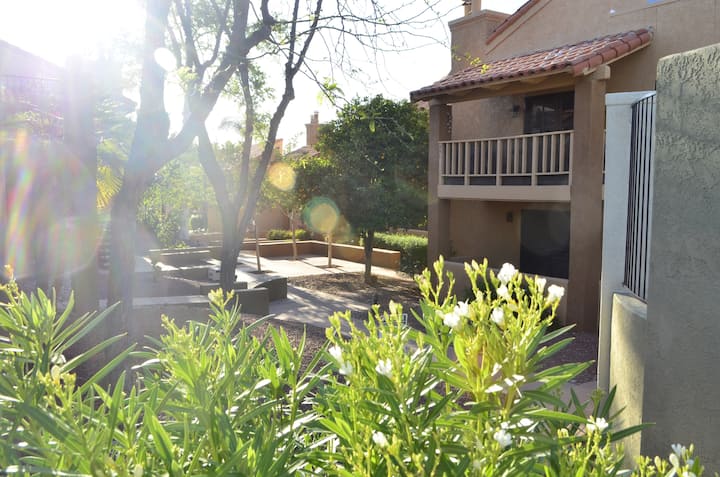 ~ Oro Valley Retreat ~ Fall In Love W/ The Desert! - Oro Valley, AZ