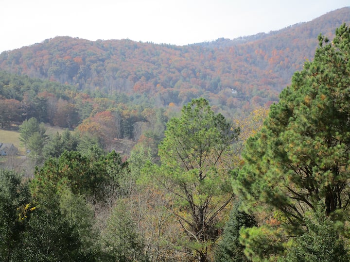 Mountain Views/family Retreat - Asheville, NC