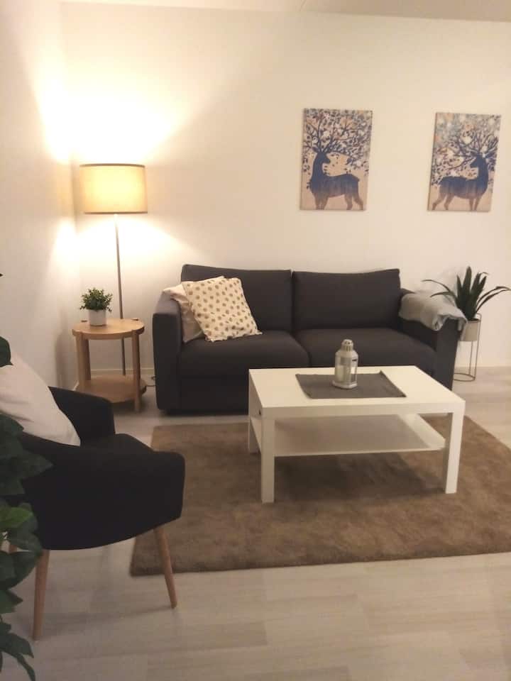 Kodikas Siisti Majoitus - Lahti