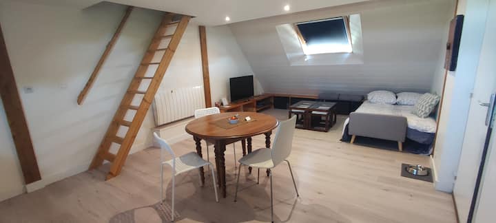 Appartement Mezzanine Aux Portes De Rennes - L'Hermitage