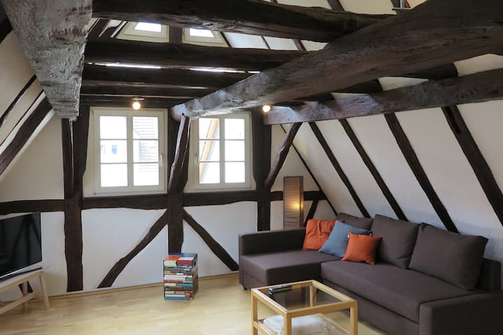 Wohnen In Historischer Remise Am Landgrafenschloss - Butzbach