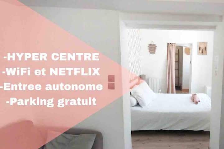 Studio Centre-ville" Le Cocon" - ibis Styles Bourges