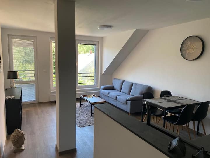 ČErná Růže- Apartmán 5 - Plzeň