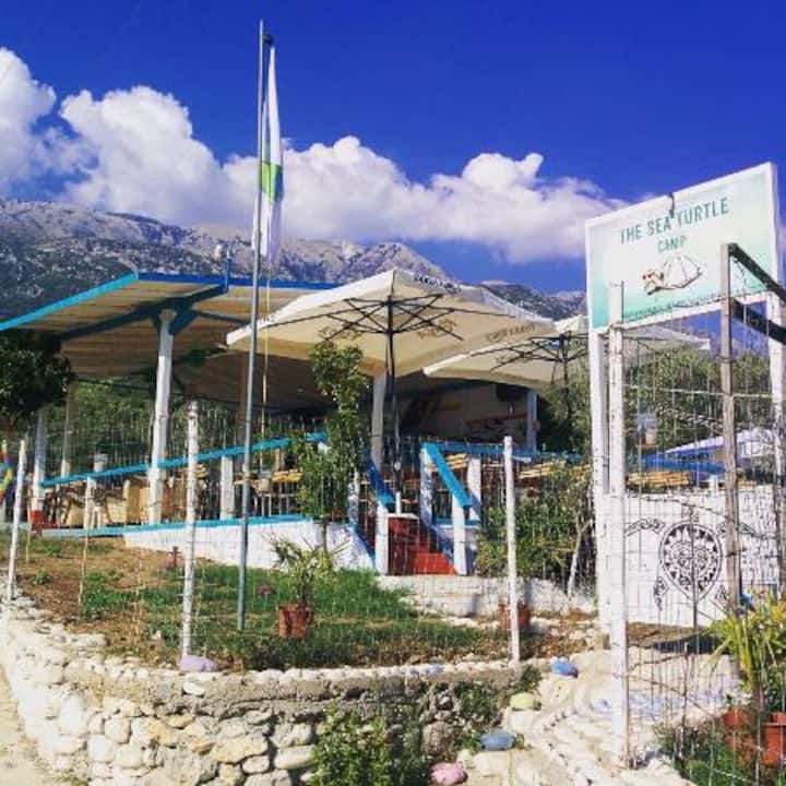 Turtle’s Cozy Shells - Albania