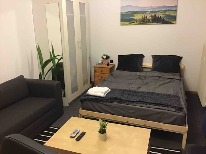 Schöne Einzimmerwohnung In Freiburg Im Breisgau - Freiburg