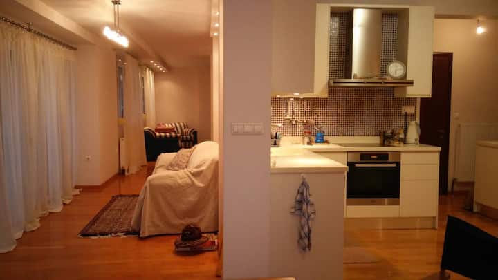 Penthouse In The Commercial Center Of The City - Ларисса