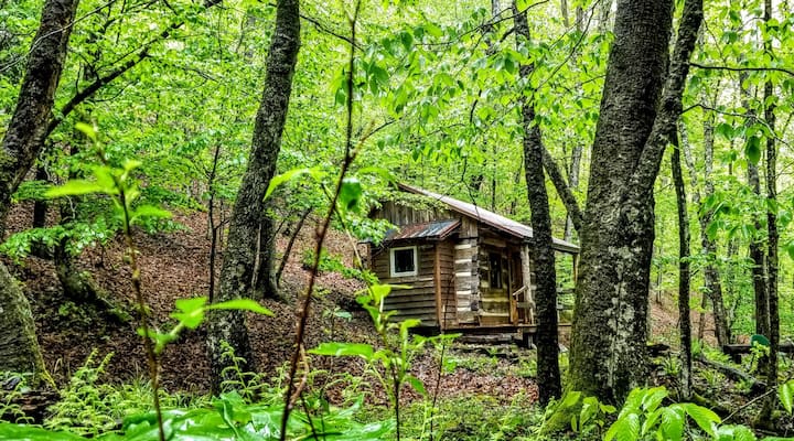 Bird Hollow Cabin (1 Room Antique Logs) - Monterey