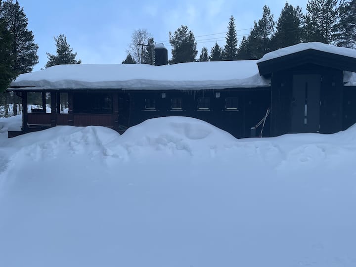 Nyoppusset Hytte Til Leie - Norway