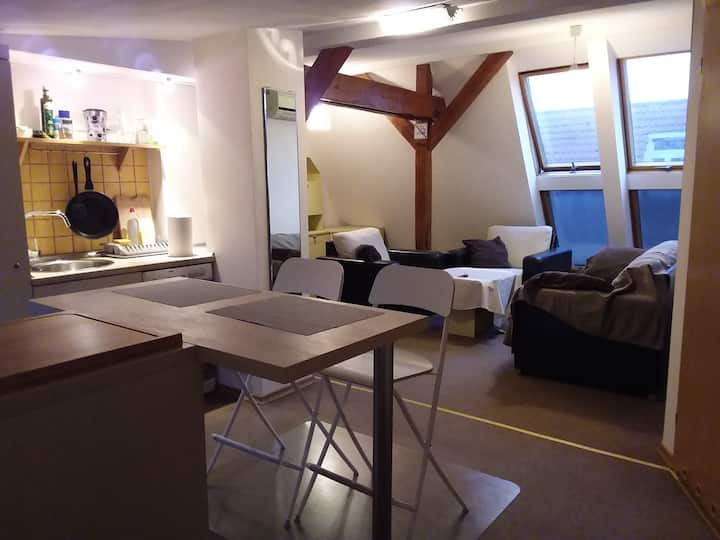 Attic In The Center Of Poznań - Poznań