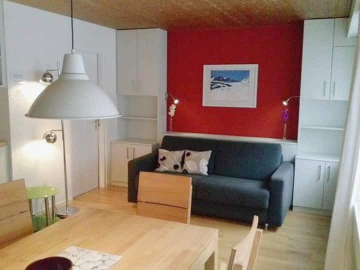 Praktische 2-zimmer Ferienwohnung Mit Pool - Valendas