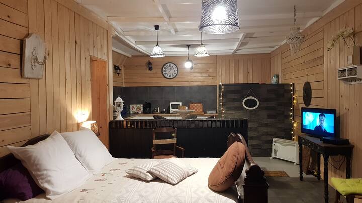 Villa Maria Studio 56 M2 A Proximité De La Cité. - 卡爾卡松