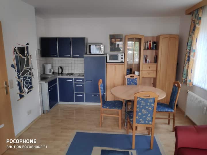 Relax Apartment Haus Lungau E-1 - Saalbach-Hinterglemm