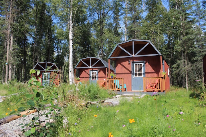 Cute Cabin In The Woods - Talkeetna, AK