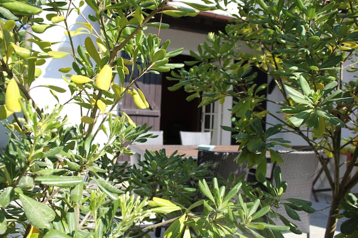 Maison Au Pyla Sur Mer à 200m De La Plage Fr2spaqx - La Teste-de-Buch